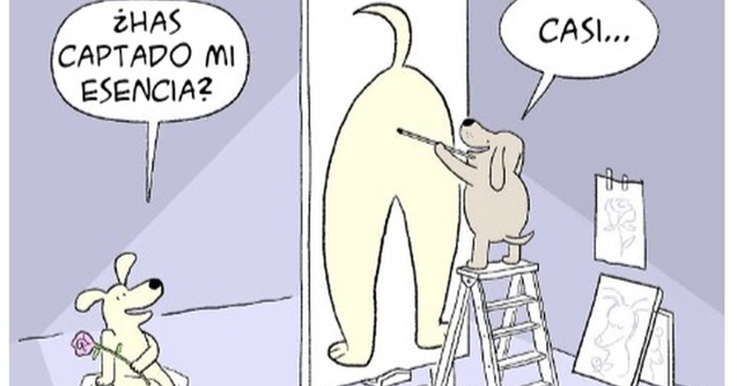 ¡Cuánta razón! / Cómics llenos de humor peculiar y toques irónicos, por ...