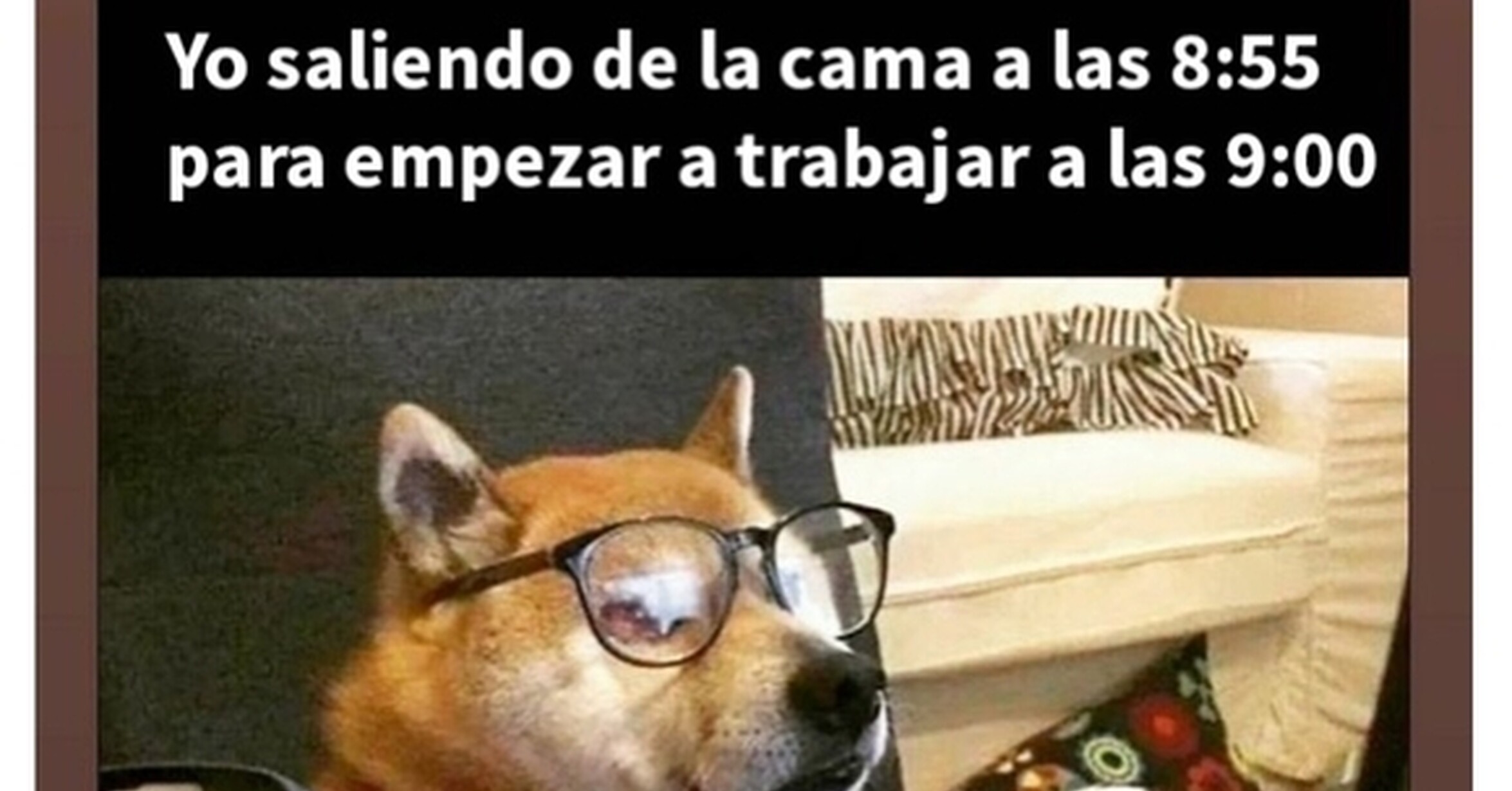 ¡Cuánta razón! / Divertidos memes sobre el trabajo desde casa para reír ...