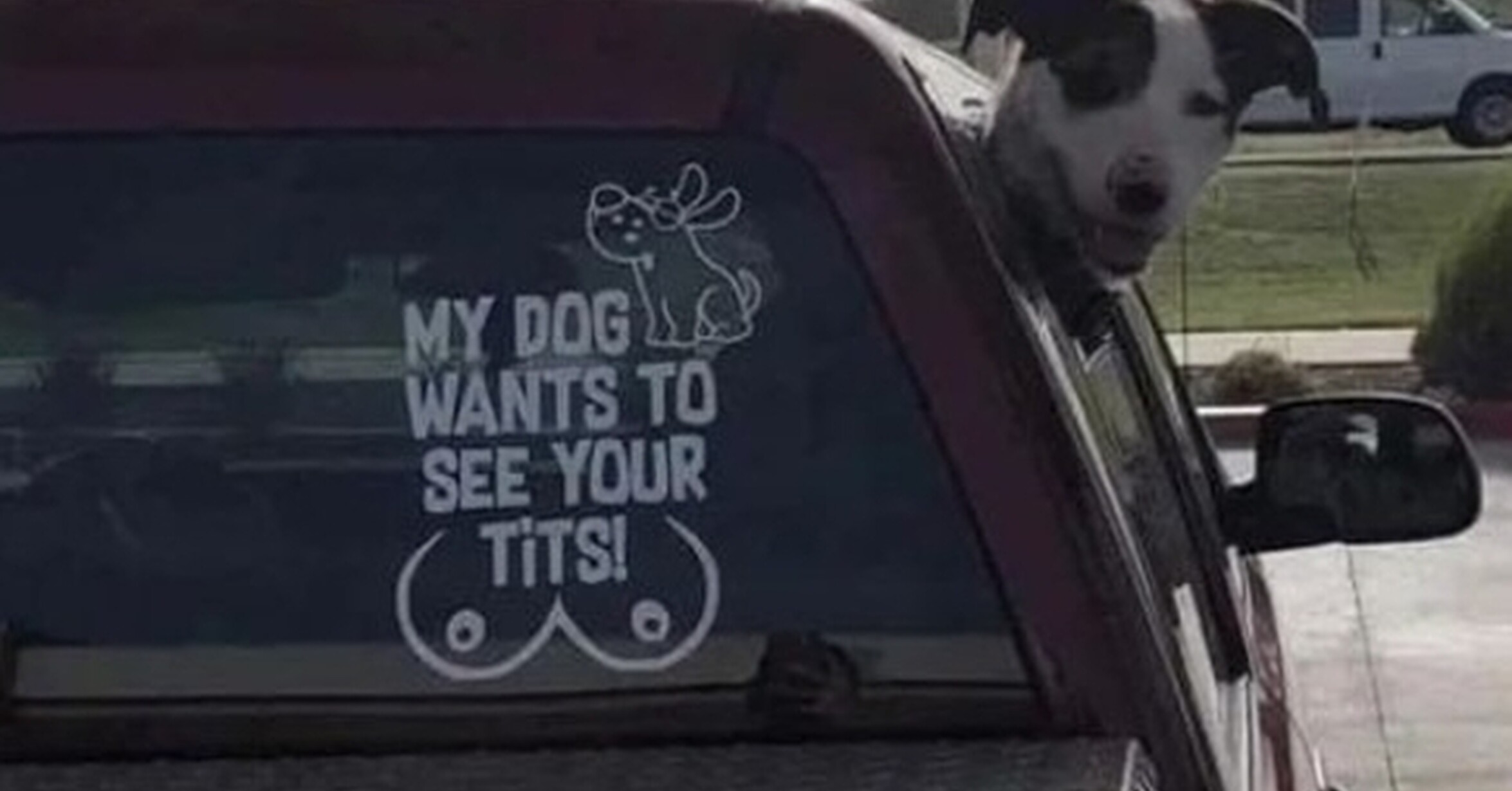 ¡Cuánta razón! / Ese perro sabe lo que quiere