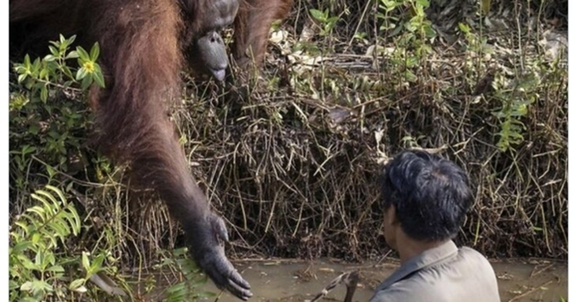 ¡Cuánta razón! / Historias de la vida real que son fascinantes