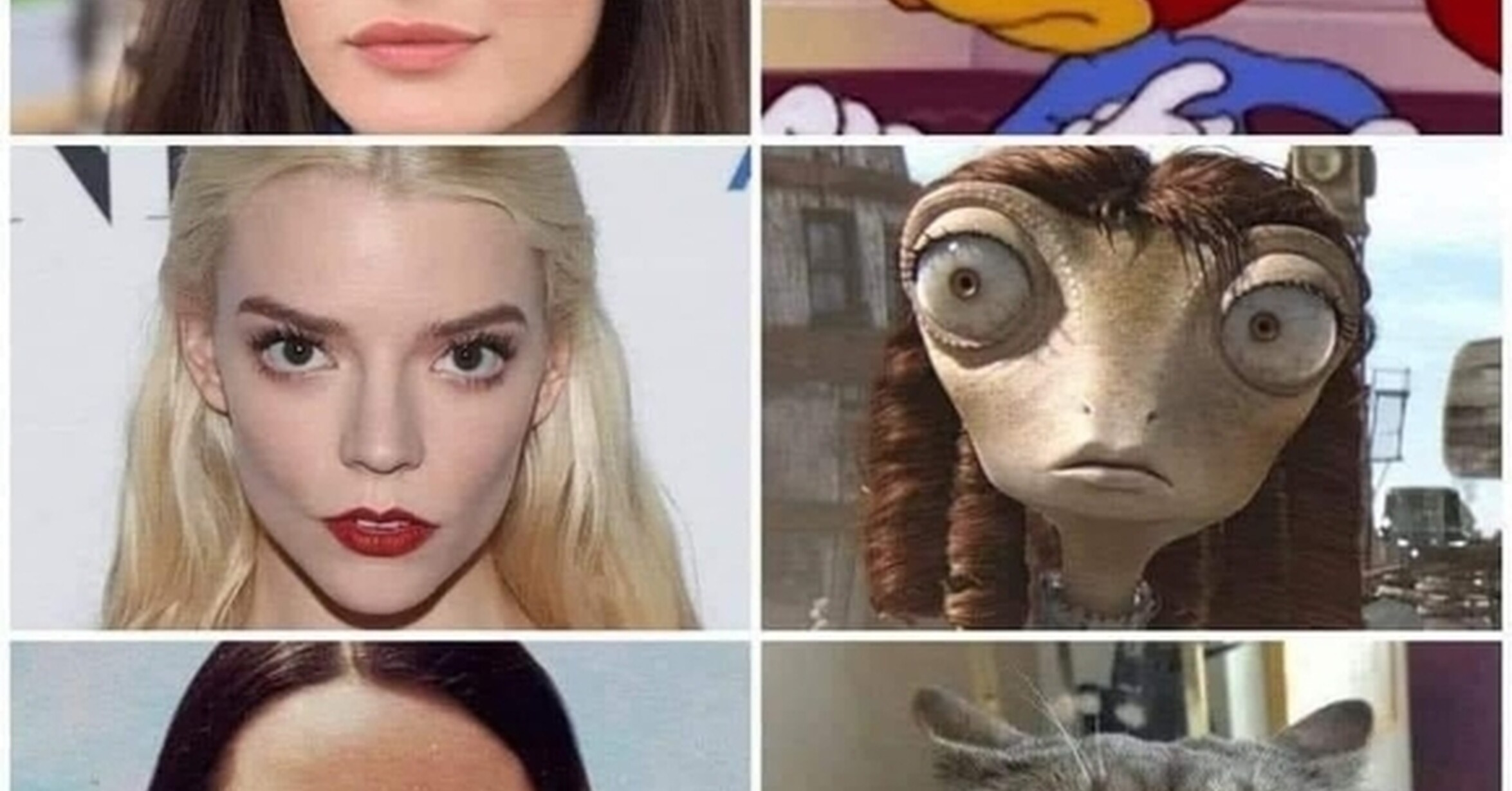 ¡Cuánta razón! / Parecidos oculares