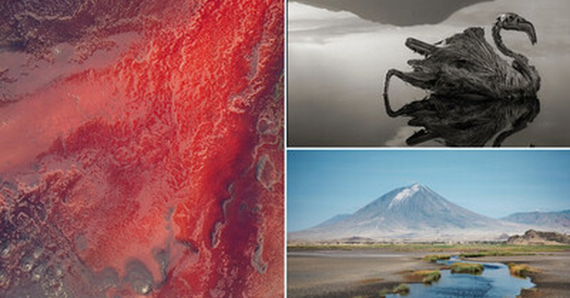 ¡Cuánta razón! / El inquietante Lago Natrón, también conocido como el ...