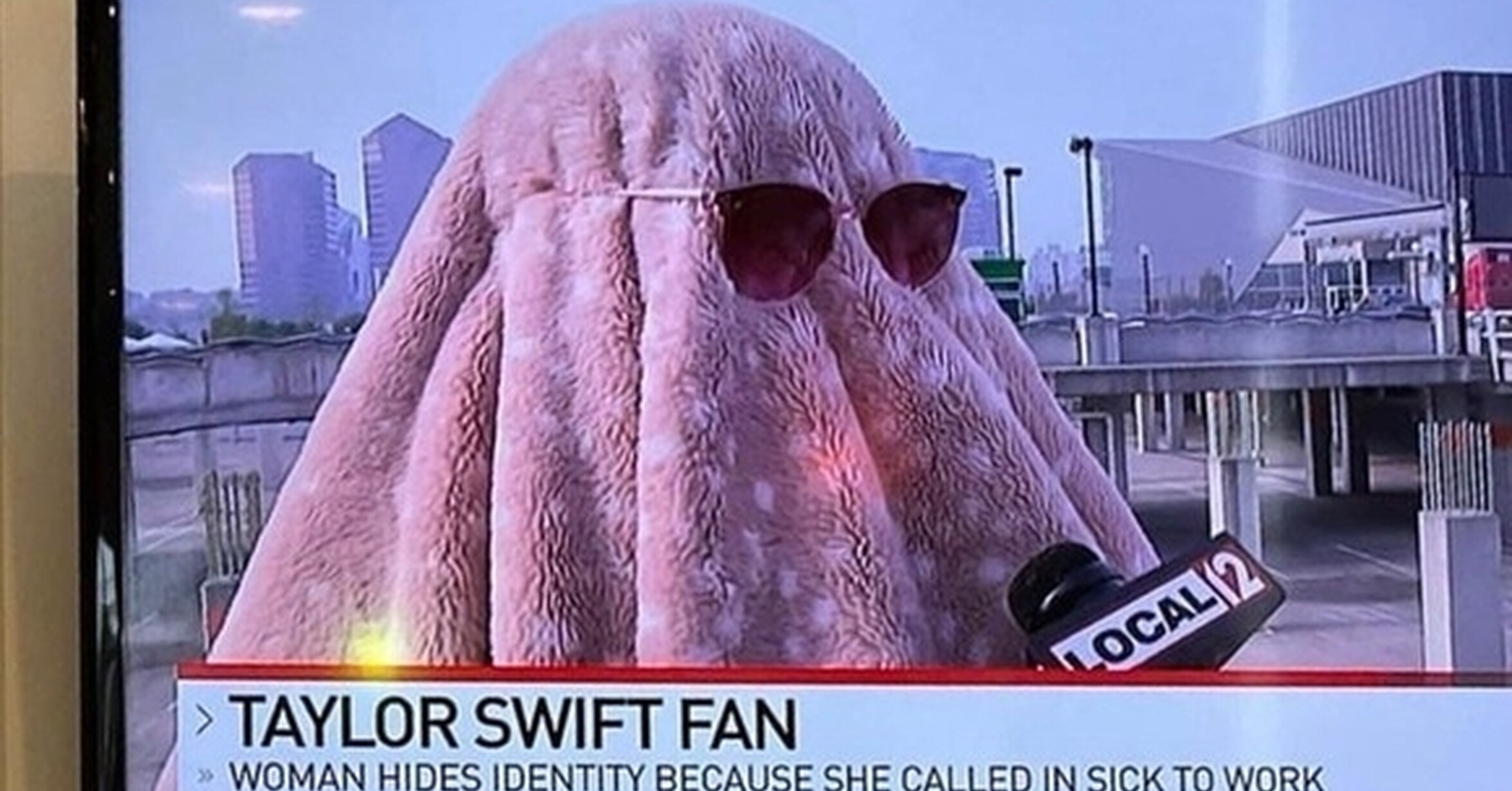 ¡Cuánta razón! / Fans de Taylor Swift tapándose para que su jefe no les ...