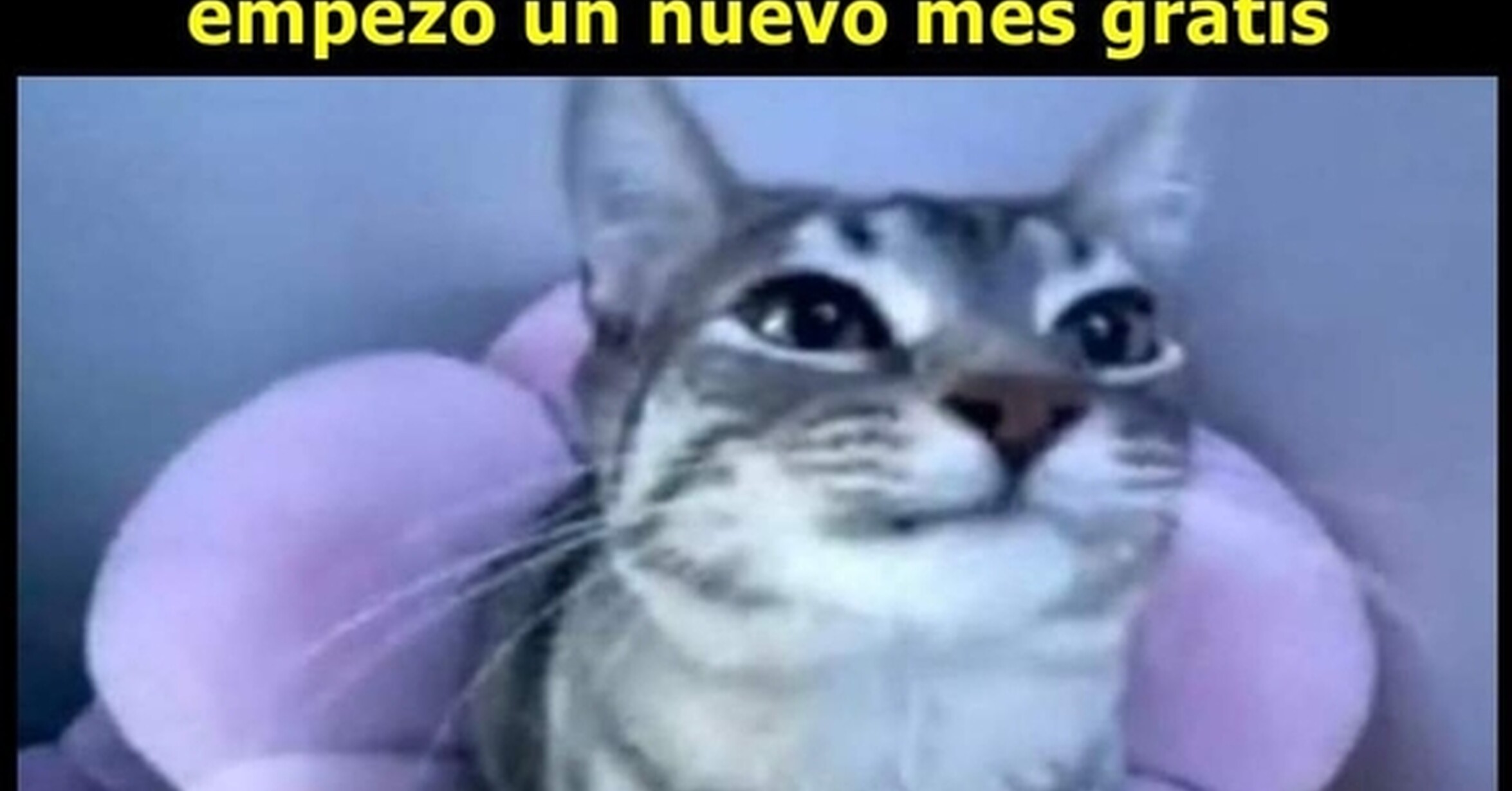 ¡Cuánta razón! / Actividad sospechosa