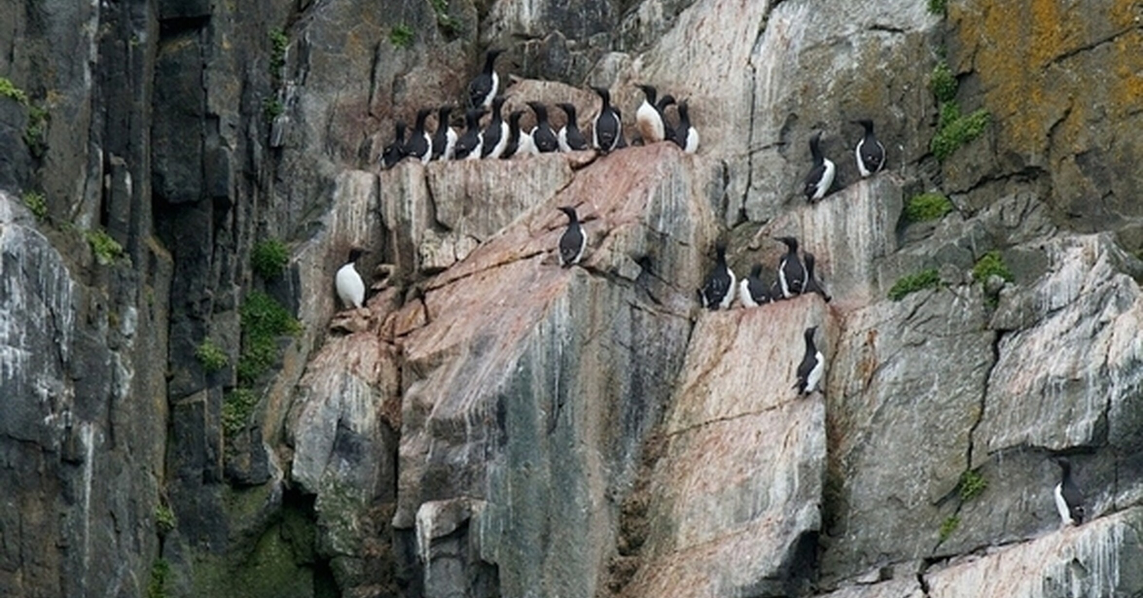 ¡Cuánta razón! / Acechando