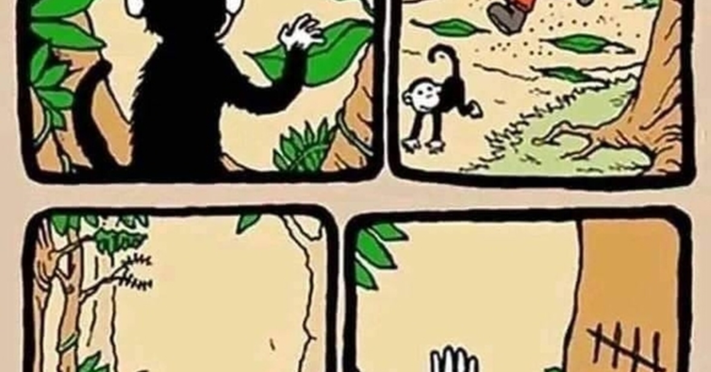 ¡Cuánta razón! / Nunca confíes en un mono