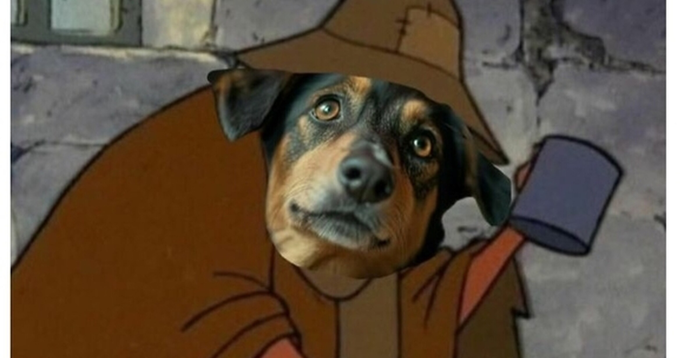 ¡Cuánta razón! / Memes absurdos y divertidos para relajar la mente