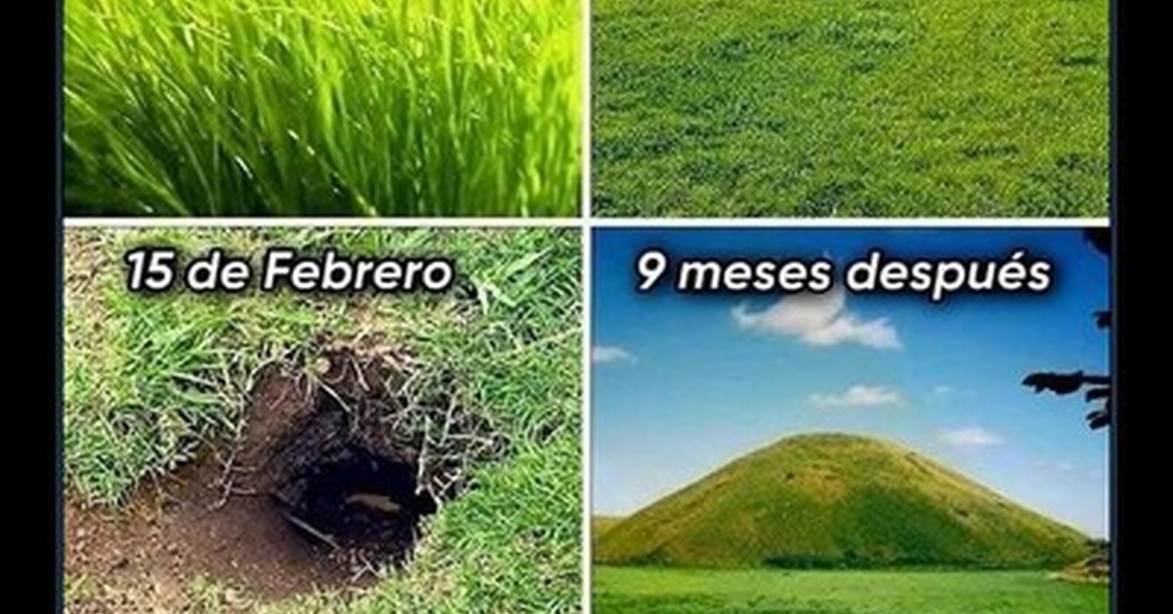 ¡Cuánta razón! / Se viene San Valentín