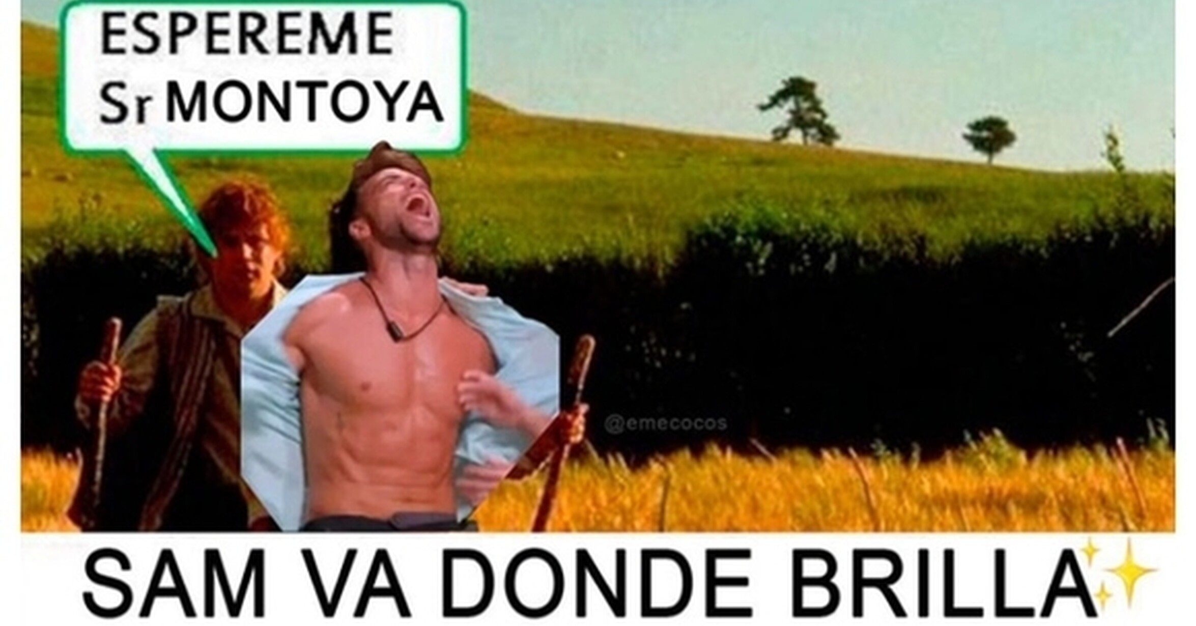 ¡Cuánta razón! / Los mejores memes de Sam va lentín