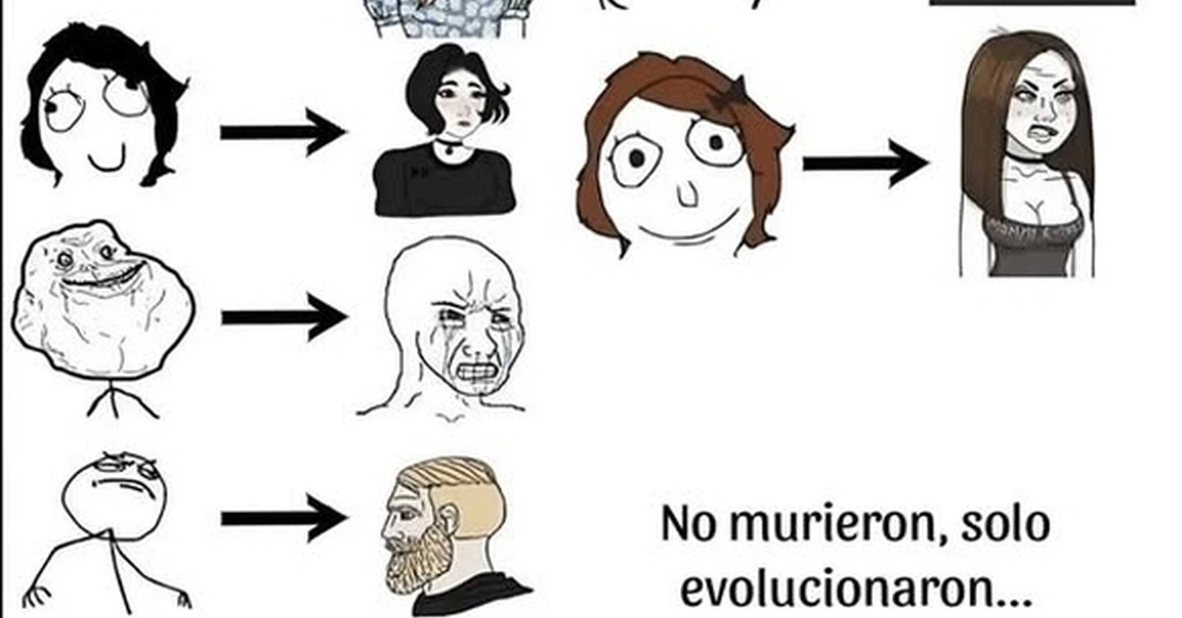 Dibujos Y Memes