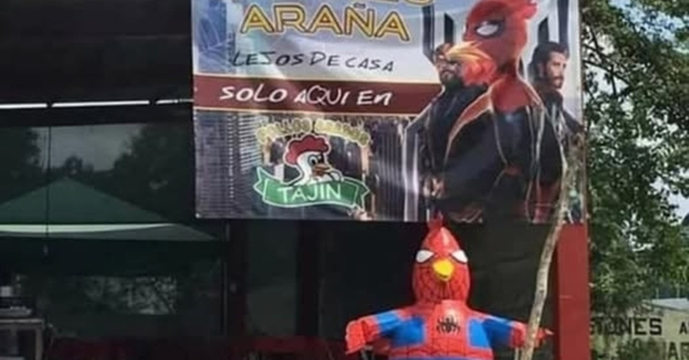 ¡Cuánta razón! / El pollo araña