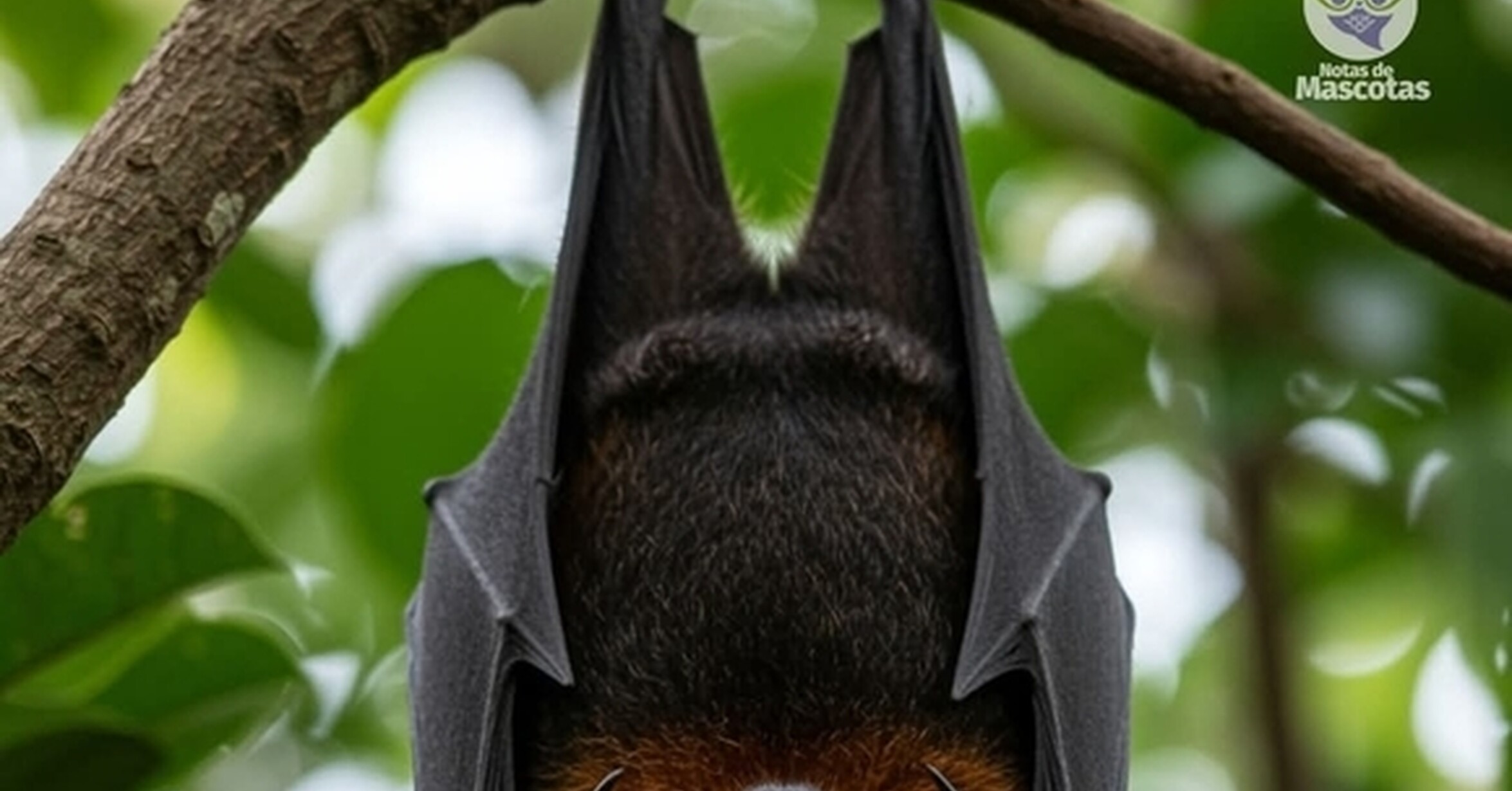 ¡Cuánta razón! / Un animal con mala publicidad