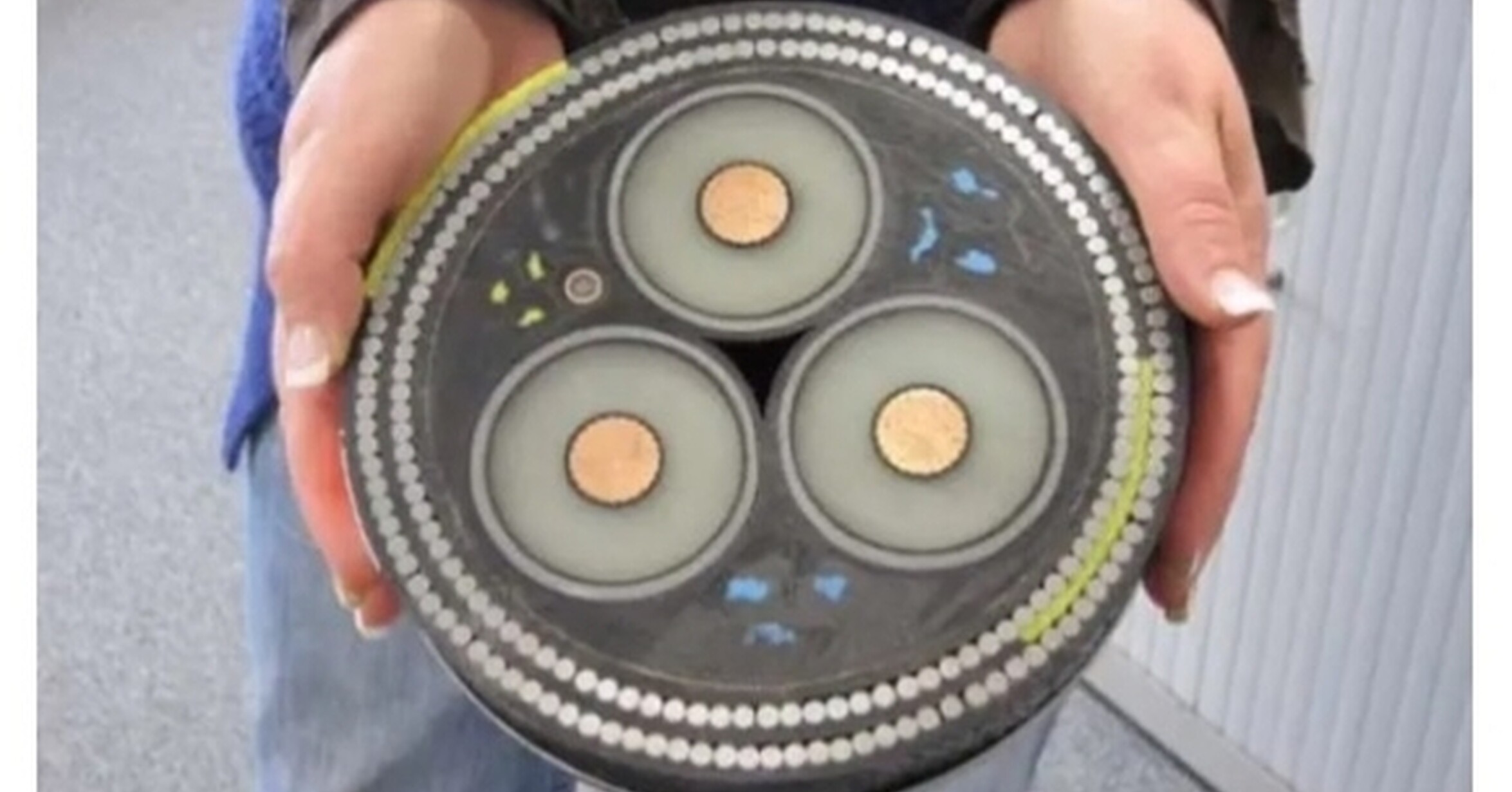 ¡Cuánta razón! / Cosas increíbles del día a día que probablemente no sabías que existían