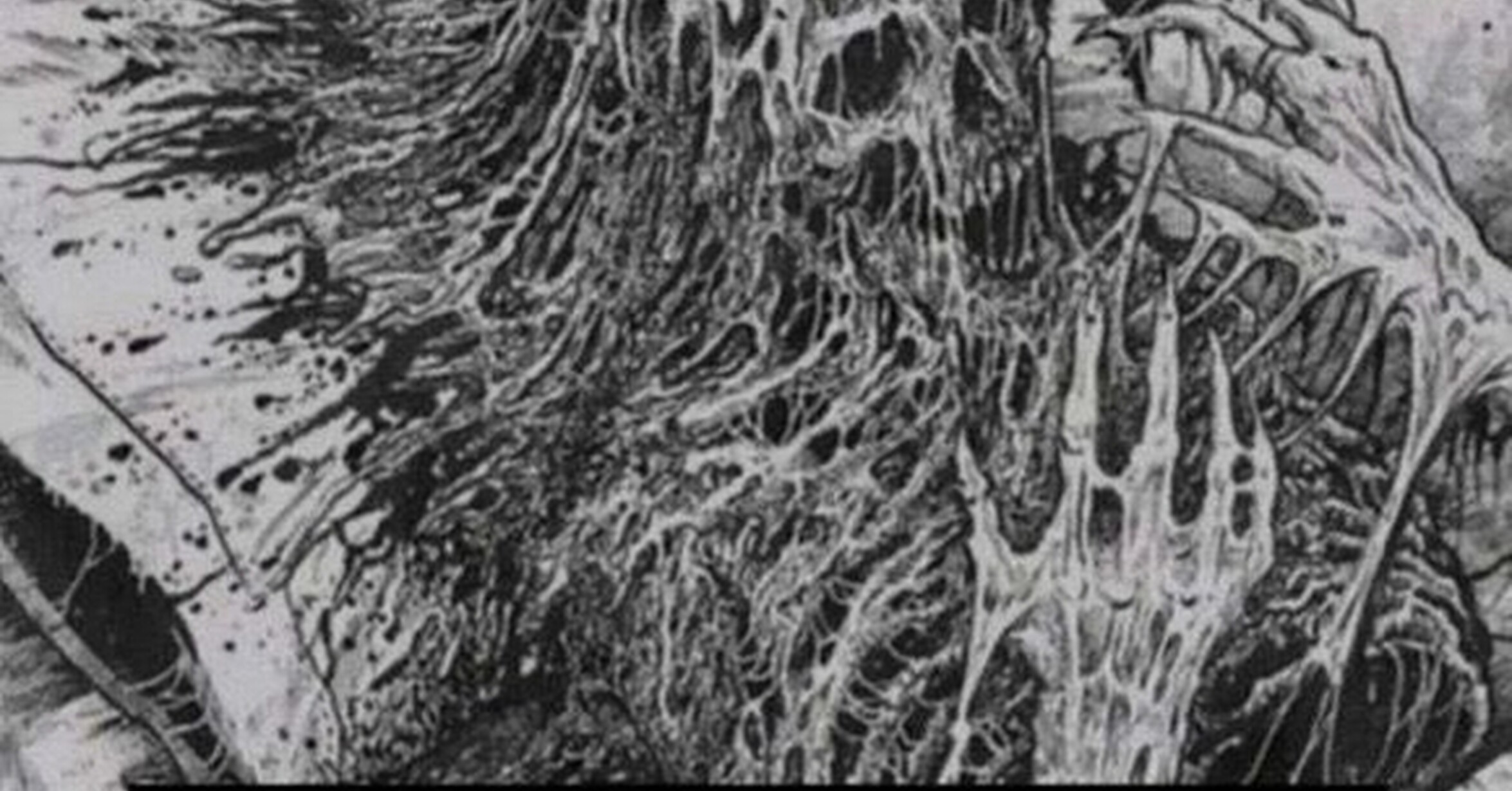 ¡Cuánta razón! / Potencia insuficiente