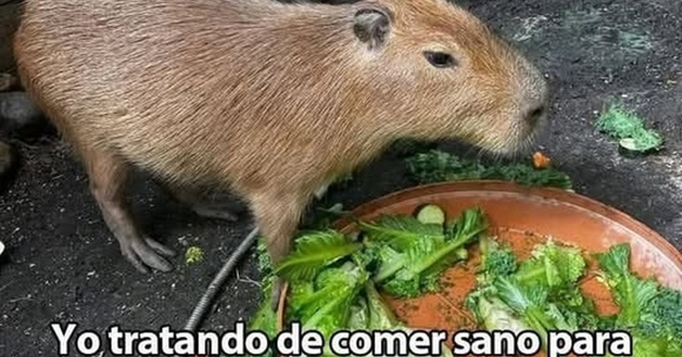 Cuánta Razón Comiendo Sano