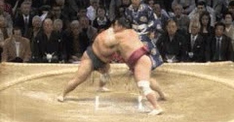 ¡Vaya GIF! / Dragon Sumo Ball