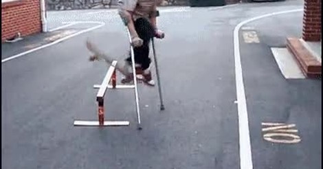¡Vaya GIF! / Querer es Poder