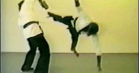 ¡Vaya GIF! / Chimpancé karateka