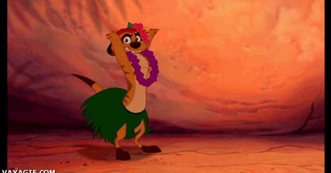 ¡Vaya GIF! / Timón