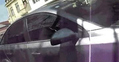 ¡Vaya GIF! / ¿Otra multa? Noooooo