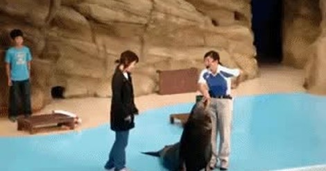 ¡Vaya GIF! / ¡Tranquila, es inofensiva!