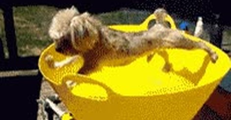 ¡Vaya GIF! / ¿Y ahora qué