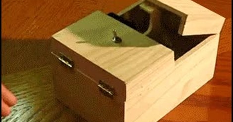 ¡Vaya GIF! / El invento más absurdo del mundo