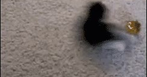 ¡Vaya GIF! / En tu primera borrachera