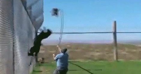 ¡Vaya GIF! / El verdadero Animatrix