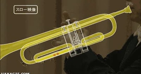 ¡Vaya GIF! / Así funciona una trompeta