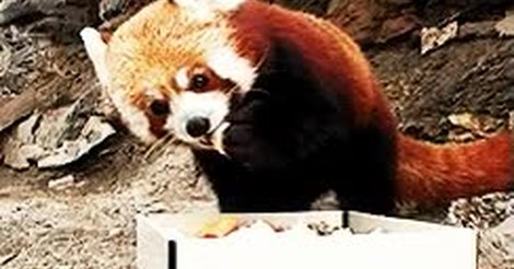 ¡Vaya GIF! / ¡Qué rico está esto!