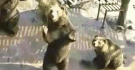 ¡Vaya GIF! / ¡Eeeeh, sí tú, el del bocata! ¡Tiranoslo va, no seas rancio!