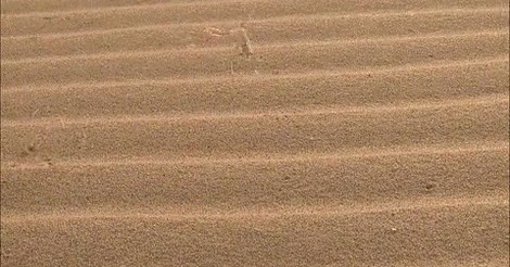 ¡Vaya GIF! / Cuando quema mucho la arena de la playa