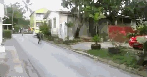 ¡Vaya GIF! / ¡Mira mamá, sin manos!
