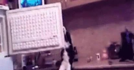 ¡Vaya GIF! / El poder de la fuerza