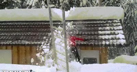 ¡Vaya GIF! / Cada vez que llega la nieve se repite esta escena