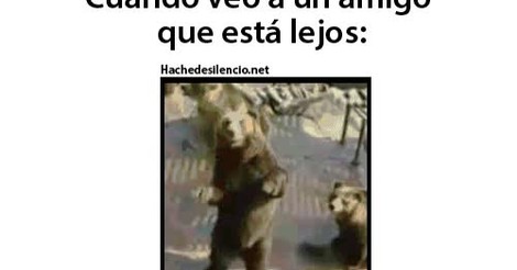 ¡Vaya GIF! / Llamando a tu amigo desde lejor