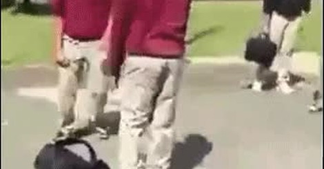 ¡Vaya GIF! / Lo más importante en una pelea es la sangre fría para ...