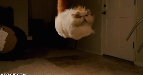 ¡Vaya GIF! / El monopatín volador ya es una realidad, ahora a por el ...