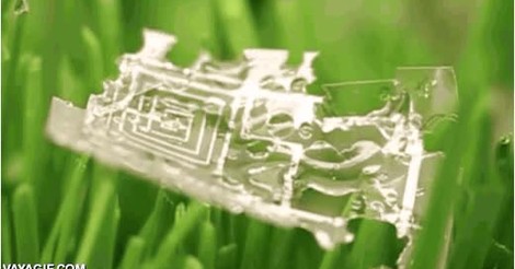 ¡Vaya GIF! / Circuitos eléctricos biodegradables al contacto con el agua