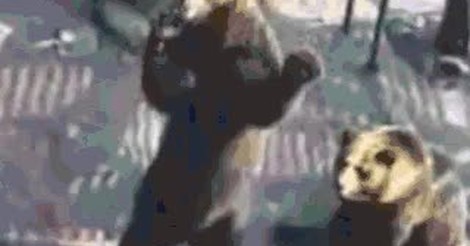 ¡Vaya GIF! / El típico amigo rancio que nunca saluda