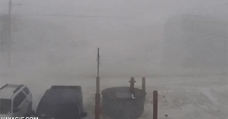 ¡Vaya GIF! / Hay que tener valor para salir a la calle con este ...