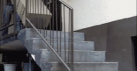 ¡Vaya GIF! / El invento que todos estabamos esperando