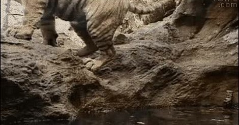 ¡Vaya GIF! / Con cuidado, cuidado, oh sí qué gusto...