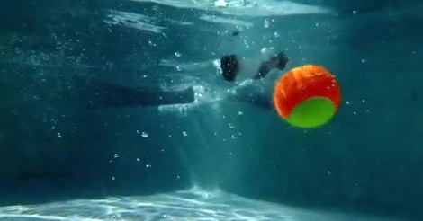 ¡Vaya GIF! / Jugando a atrapar la bola es más espectacular si lo haces ...