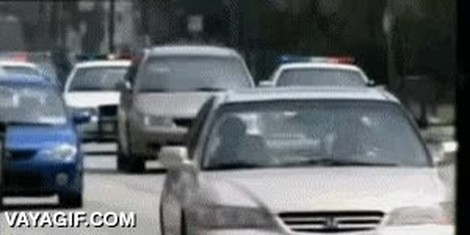 ¡Vaya GIF! / Policías eficientes en las persecuciones