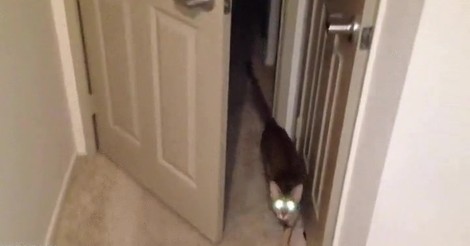 ¡Vaya GIF! / ¿Crees que cerrar la puerta te va a salvar de mí?