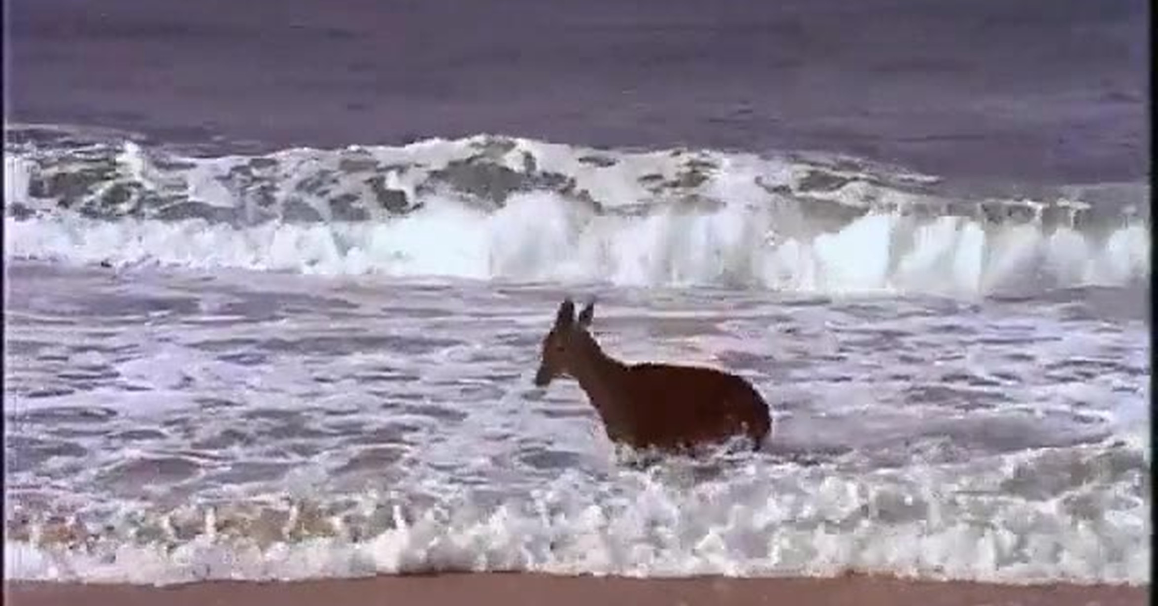 ¡Vaya GIF! / Tenemos en exclusiva los primeros segundos del nuevo ...