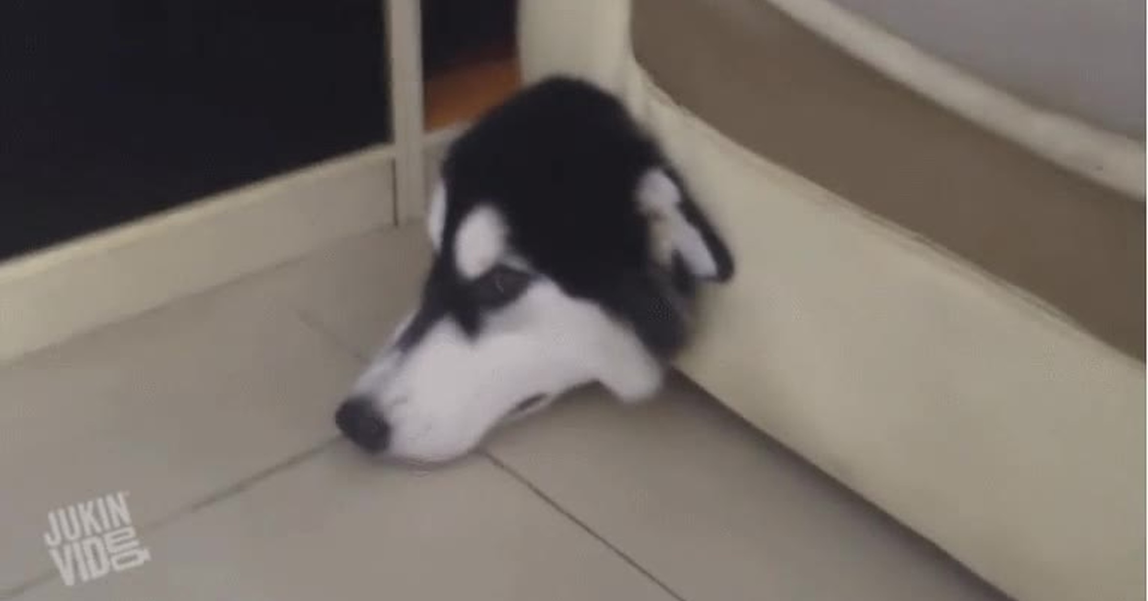 ¡Vaya GIF! / '' Ayuda, creo que he cometido un error''