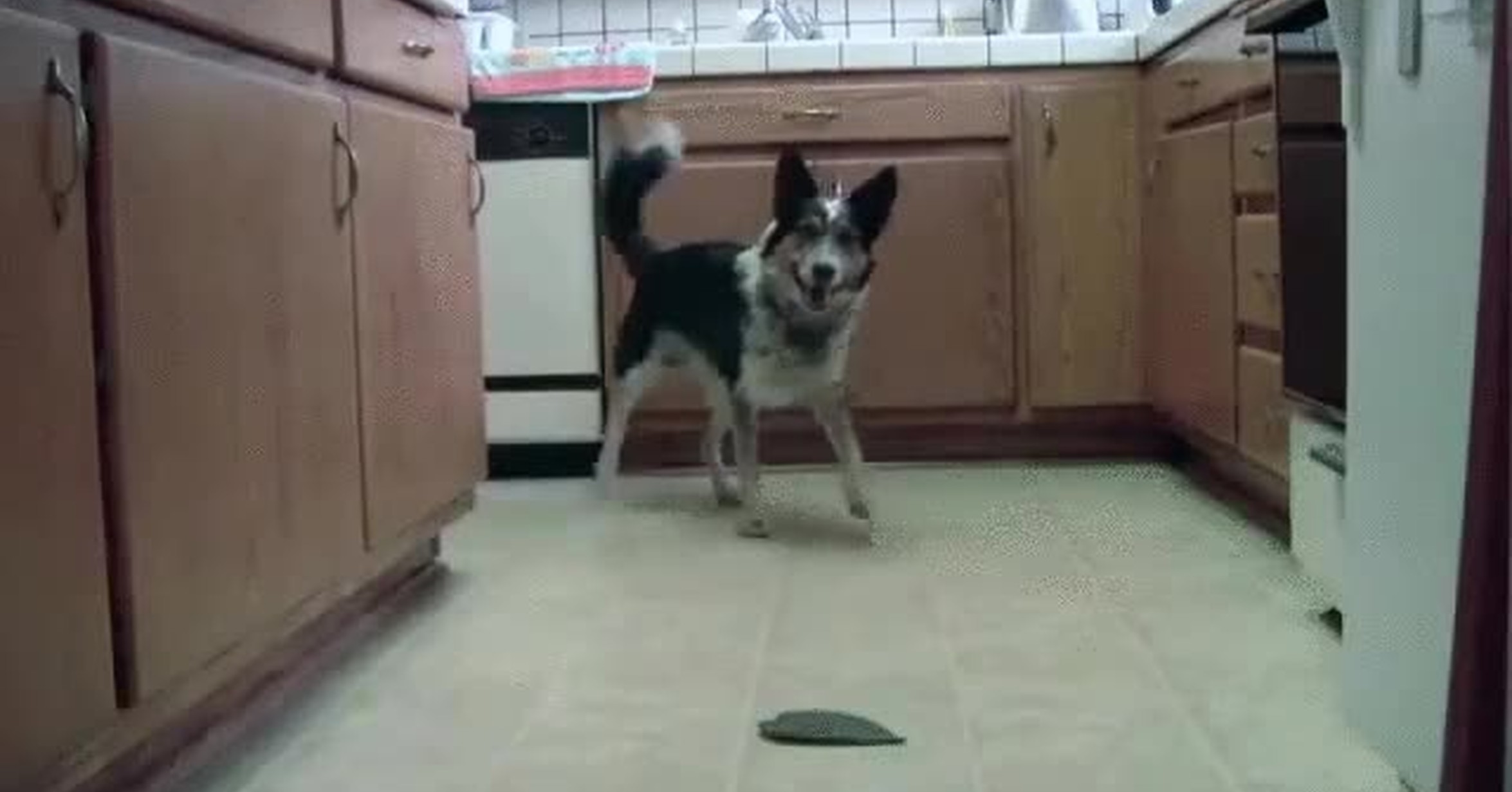 ¡Vaya GIF! / Aunque parezca mentira este gif no está al revés